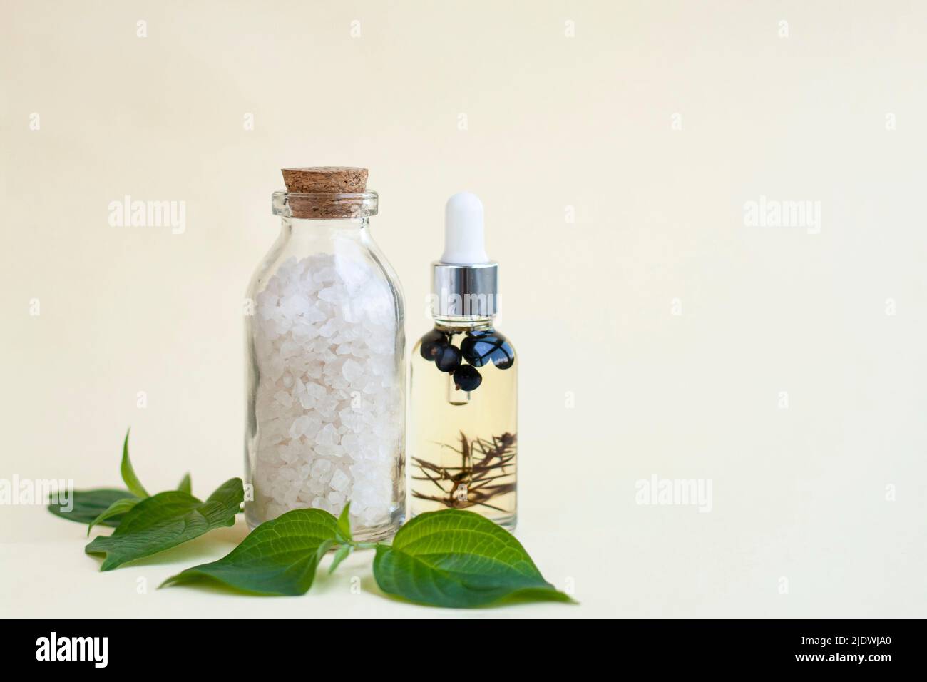 Bottles of sea salt for the bath and body oil, a few green leaves Stock ...