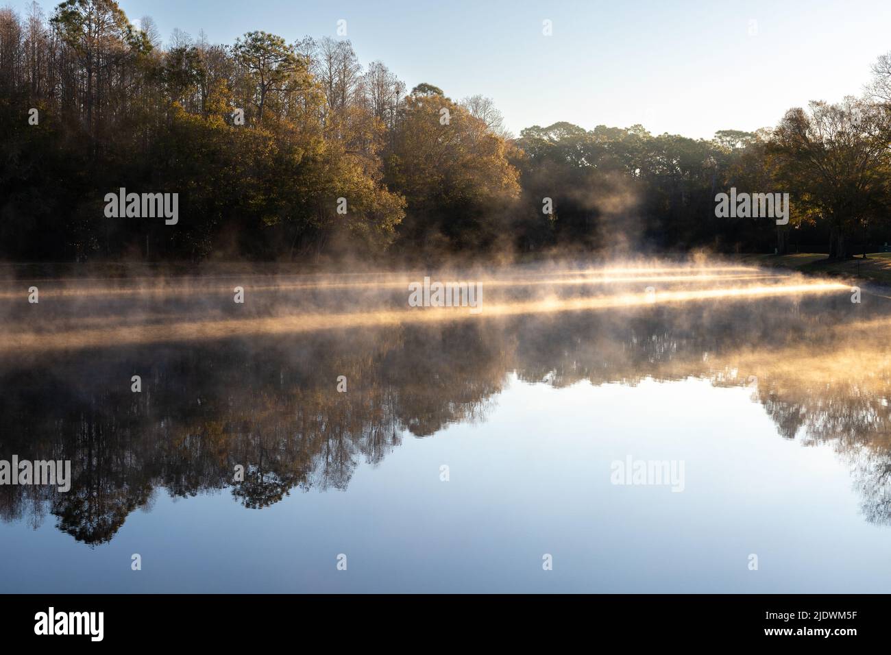 Morning in Florida Stock Photo - Alamy