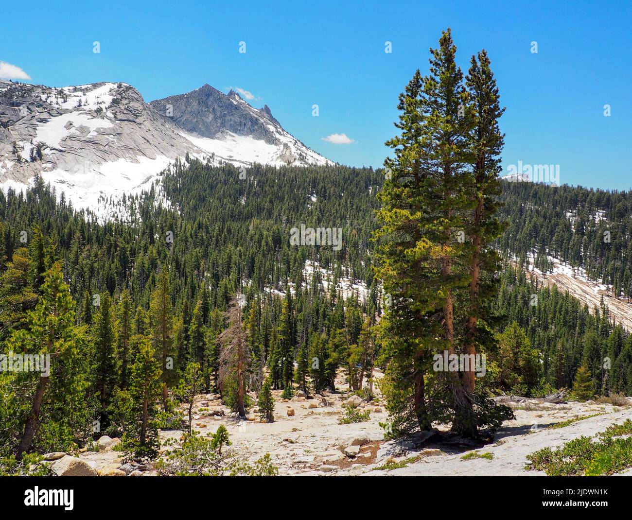 Panoramic shot of Sierra Nevada mountain range in Yosemite National ...