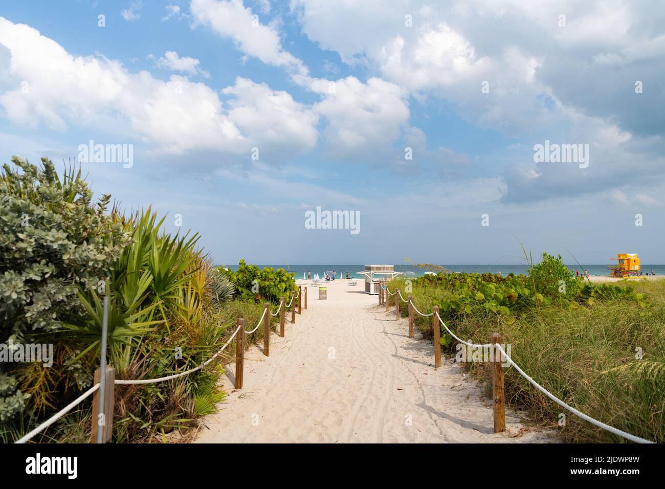 empty pathway road leading to summertime beach Stock Photo - Alamy