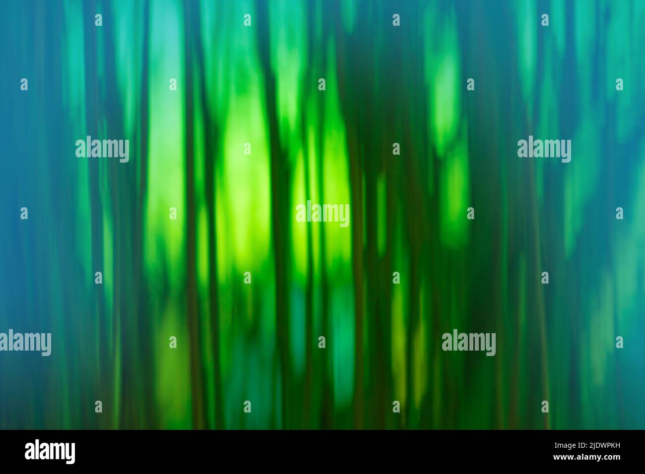 Blurred strange fall forest with magical atmosphere. Paranormal blur ...