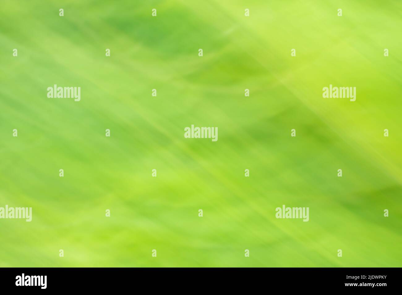 Green bokeh background. Defocused abstract green background. Blur ...