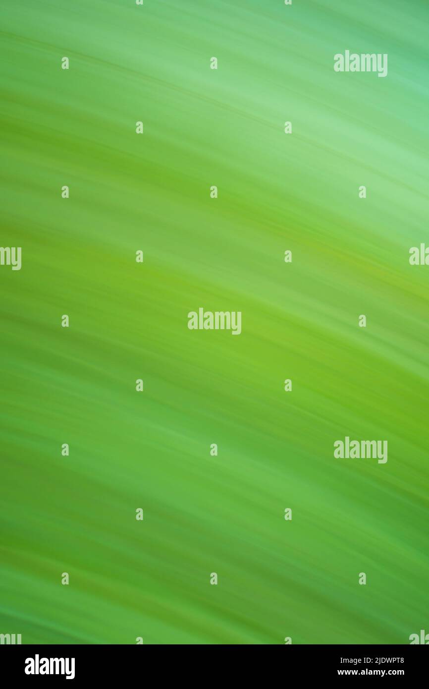 Long time exposure motion green blur. Fast speedy motion blur green ...