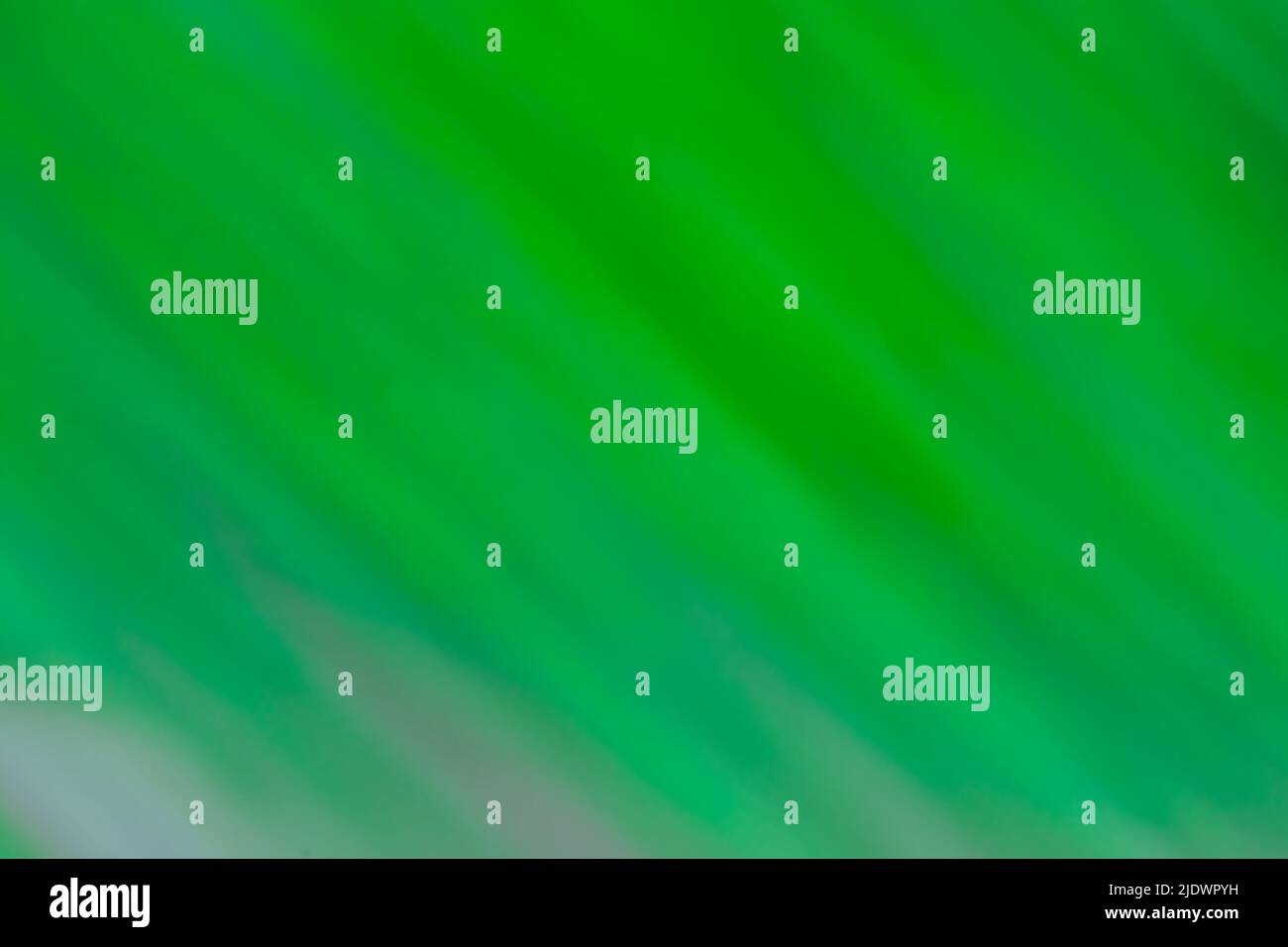 Abstract green gradient effect blurred colorful backdrop. Soft gradient background Stock Photo ...