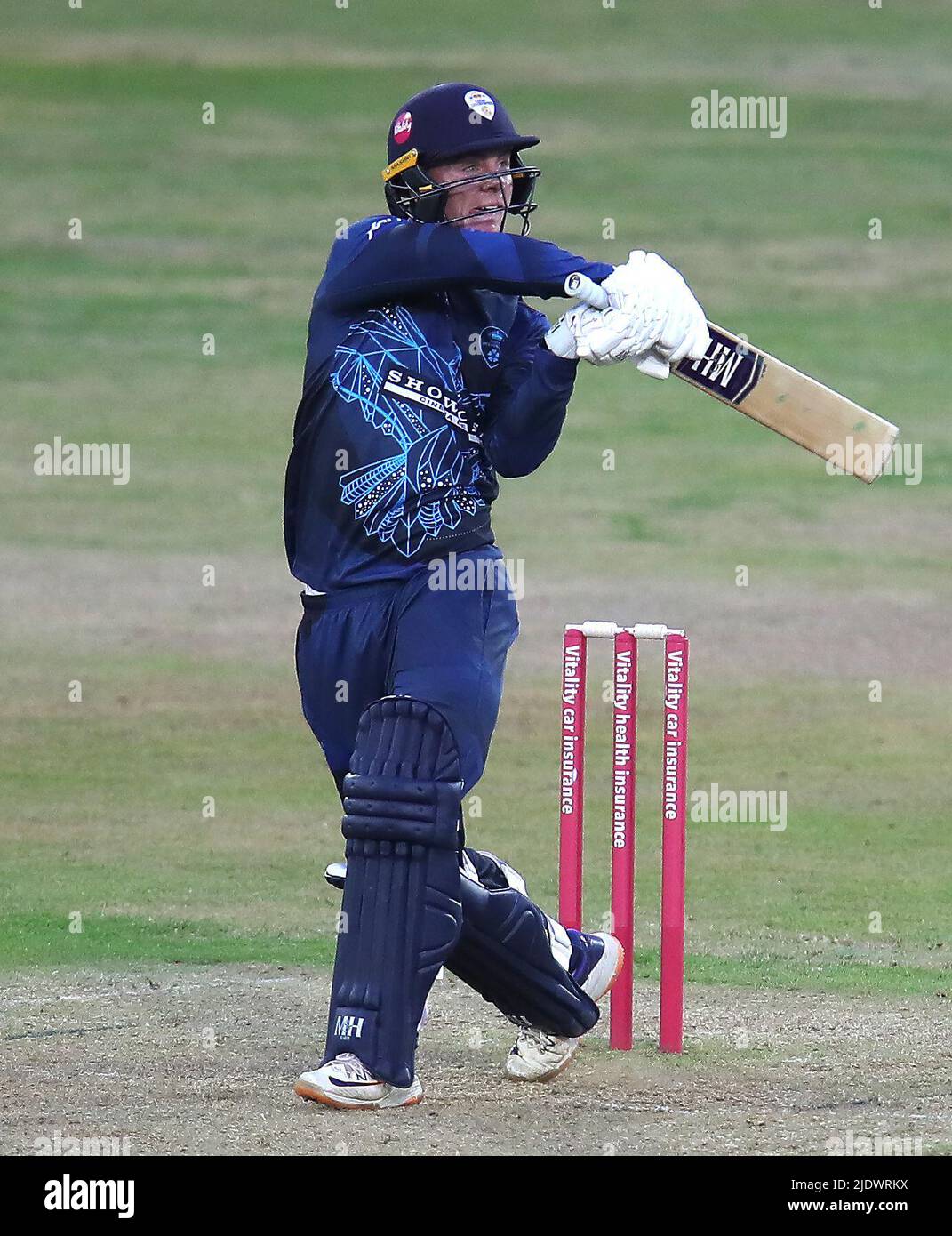 Cricket brooke guest hi-res stock photography and images - Alamy