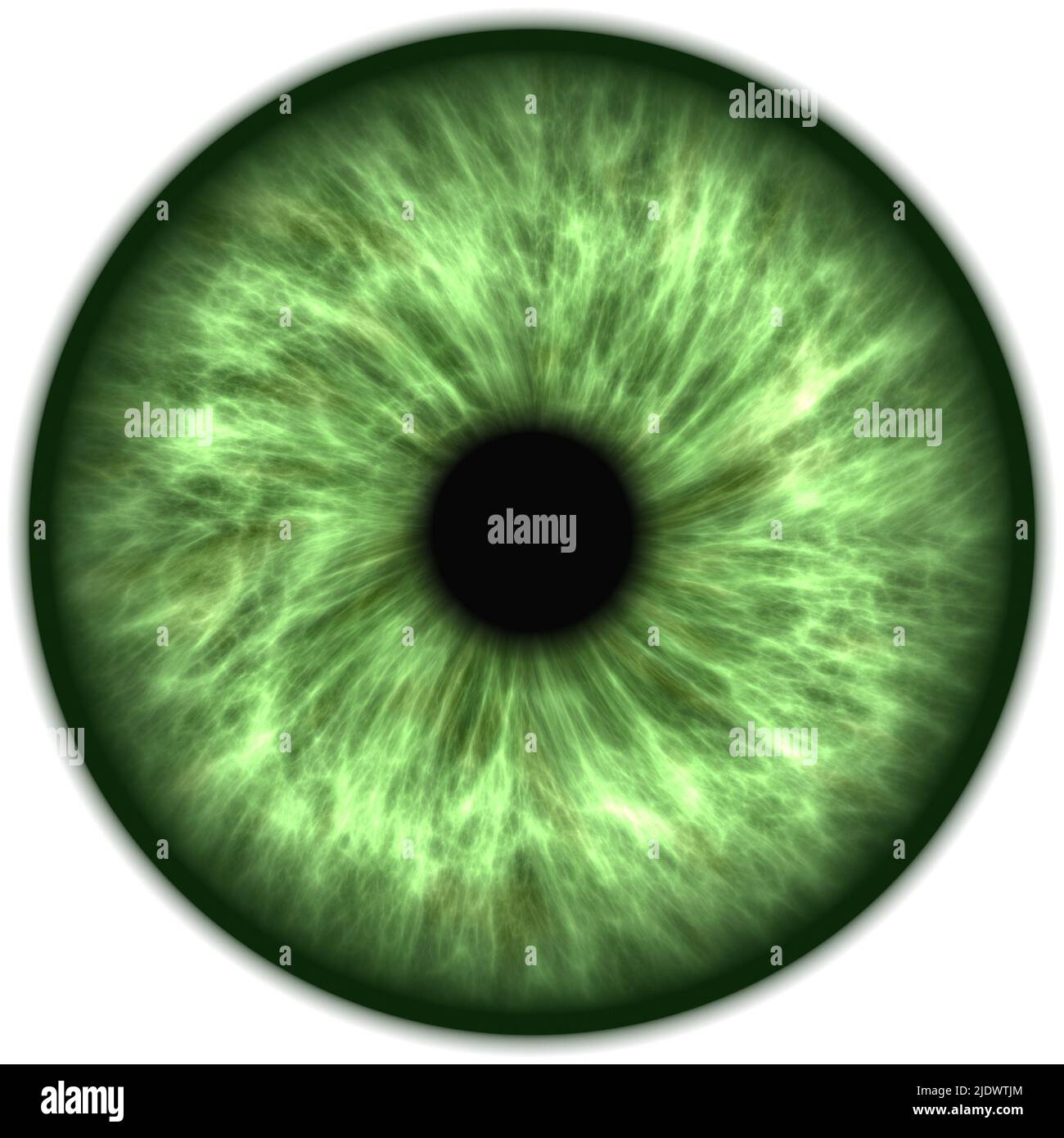 human eye iris Stock Photo - Alamy