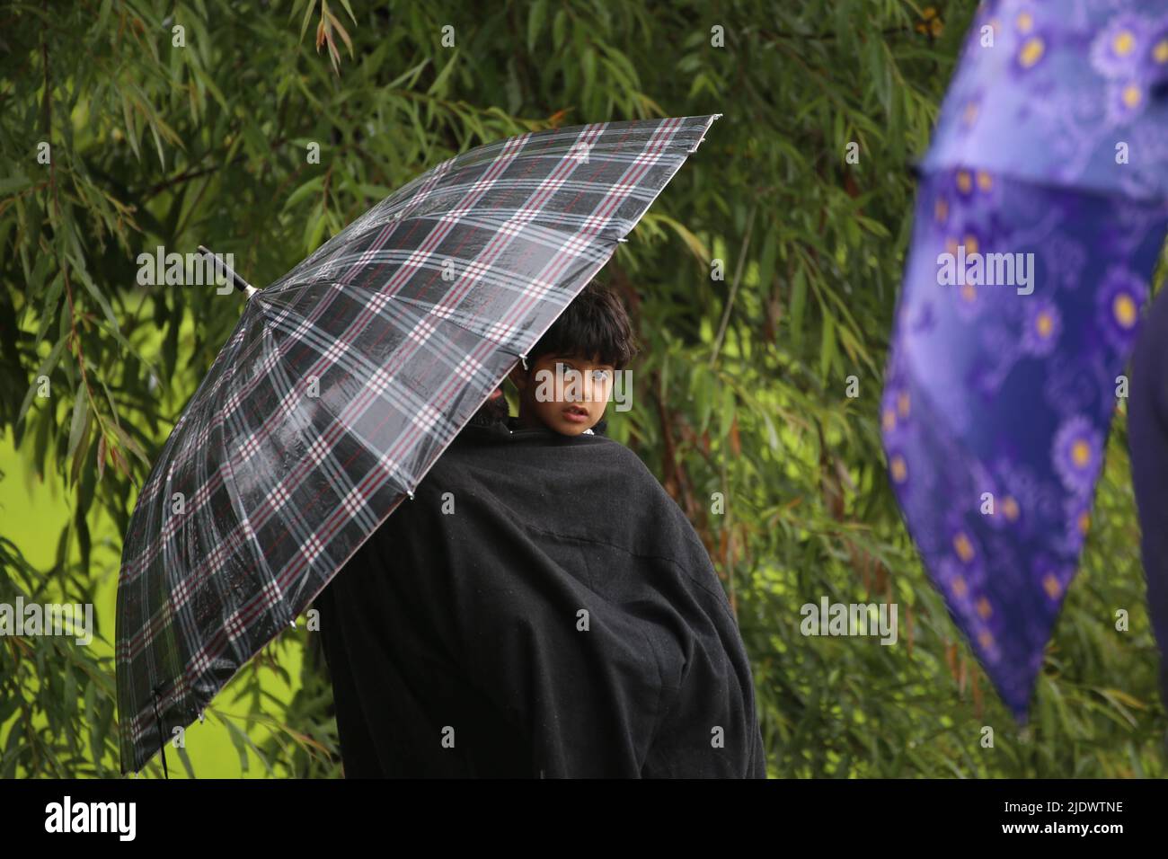 Sudden disaster hi-res stock photography and images - Alamy