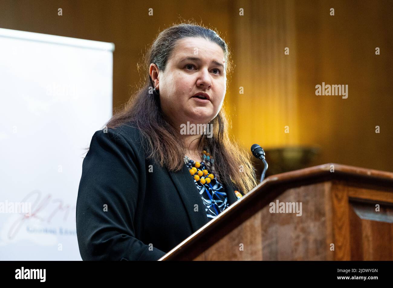 Oksana Markarova, Ukrainian Ambassador to the United States, speaking ...