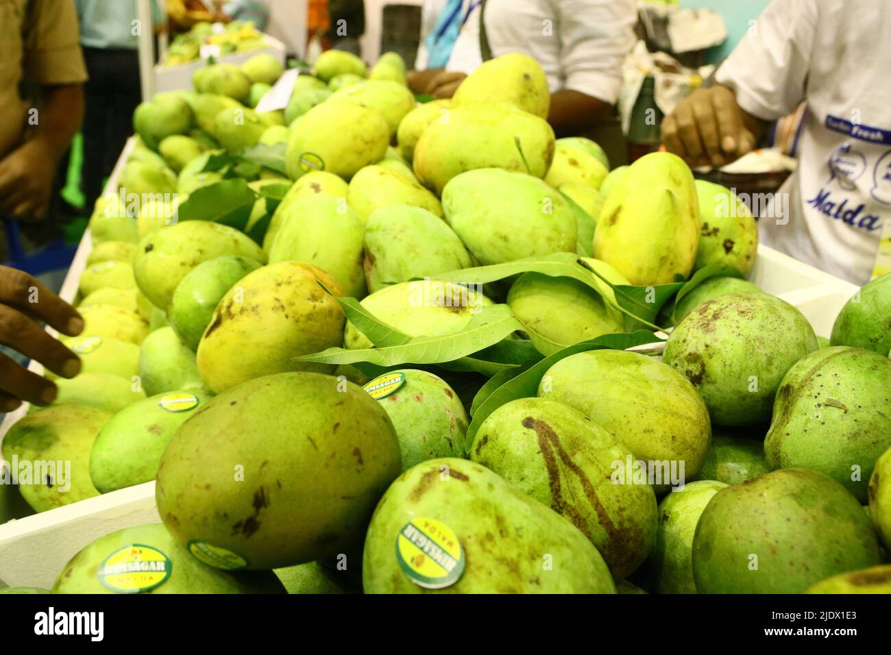 Kolkata, West Bengal, India. 23rd June, 2022. The Inaugural session of ...