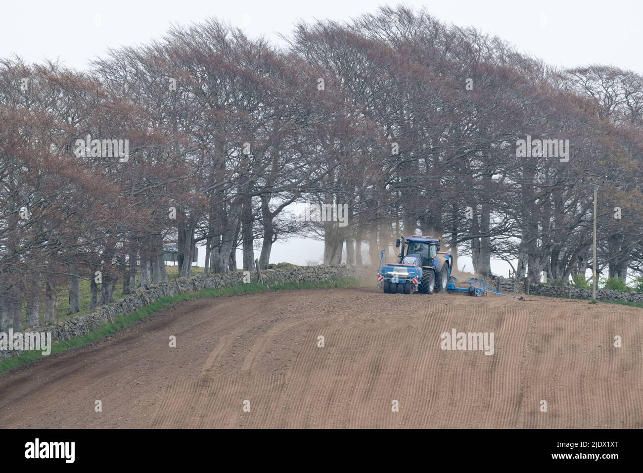 A Blue New Holland Tractor Working on a Hillside by a Dry Stone Wall ...
