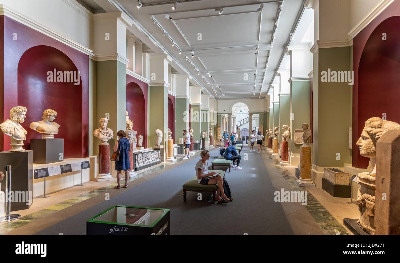 Hall os busts and statues in the Ashmolean Museum, Oxford, Oxfordshire ...