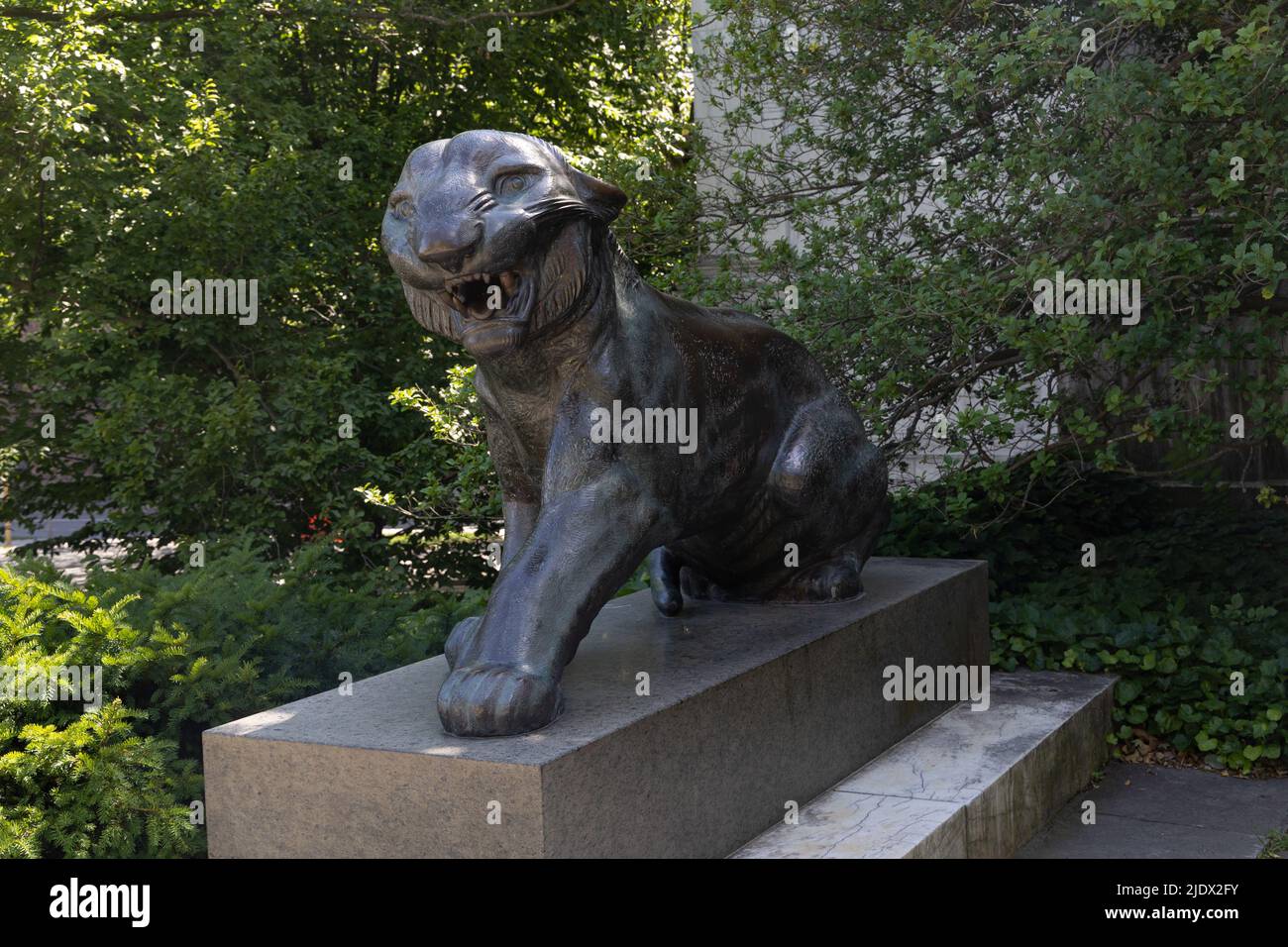 Princeton Tiger statue on the campus of Princeton University Stock ...
