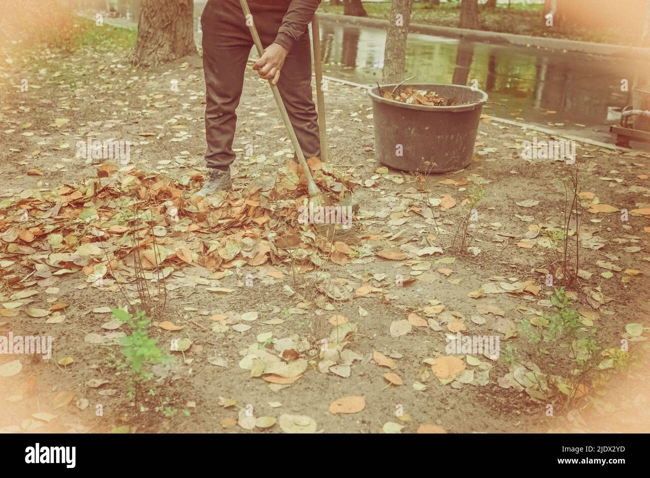 Tidy foliage hi-res stock photography and images - Alamy