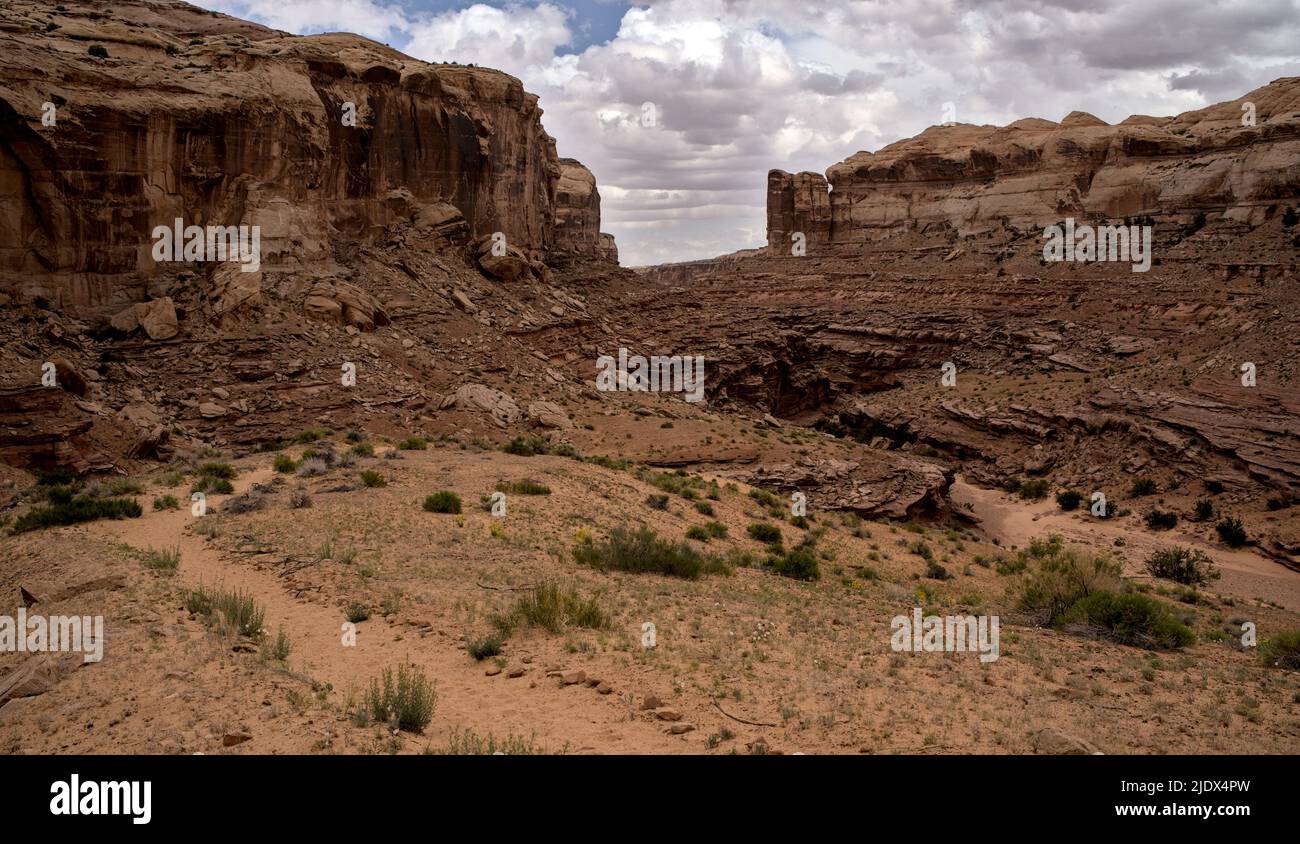 Landscape of a sandy trail leading into a canyon in the desert Stock ...