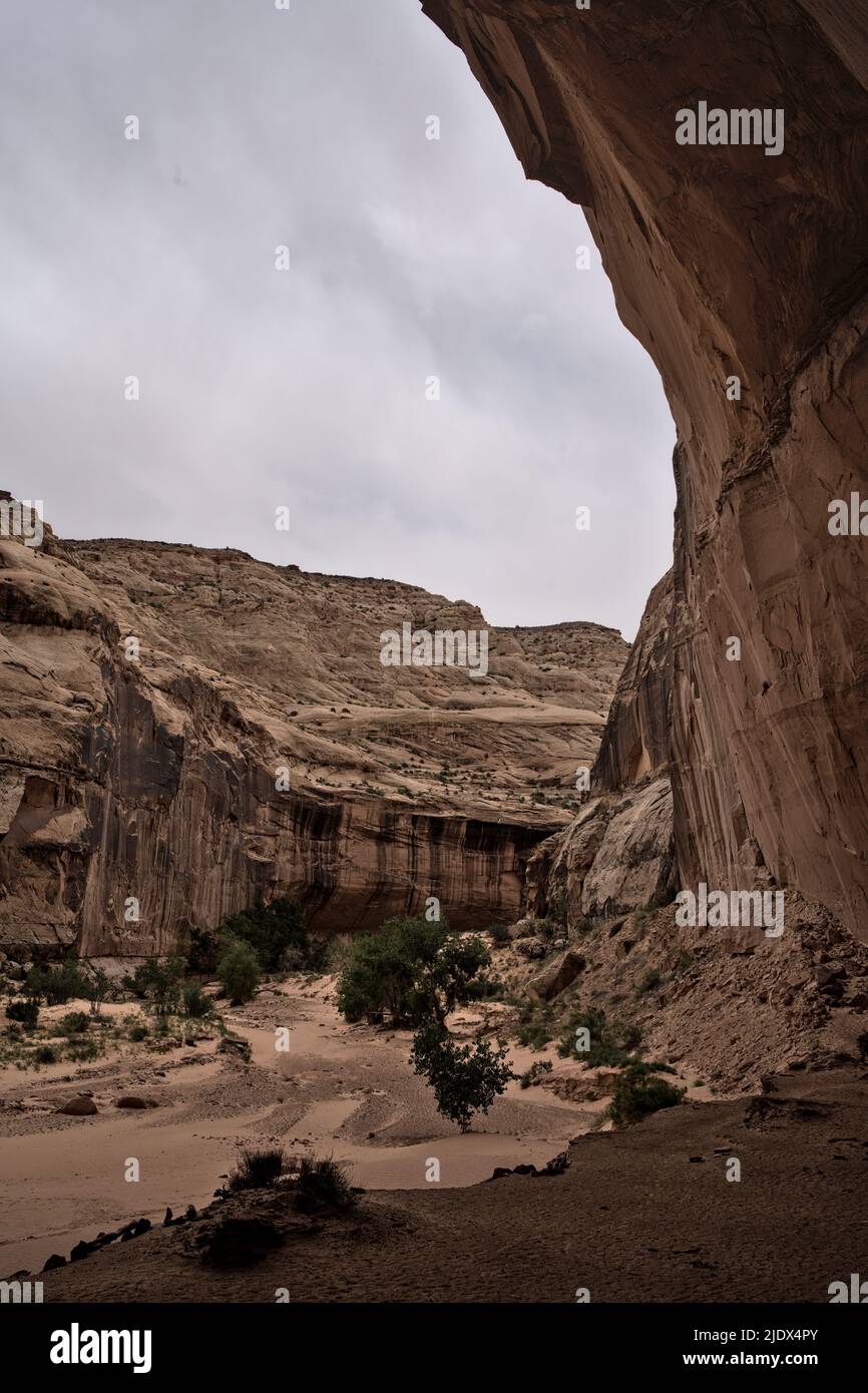 Towering sandstone cliffs line the sides a desert canyon Stock Photo ...