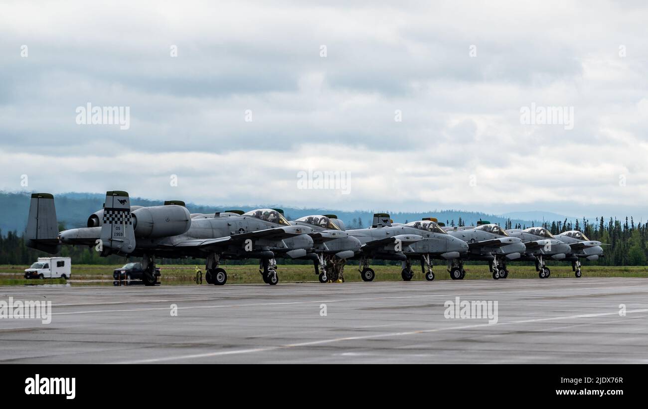 A line of A-10 Thunderbolt IIs assigned to the 25th Fighter Squadron ...