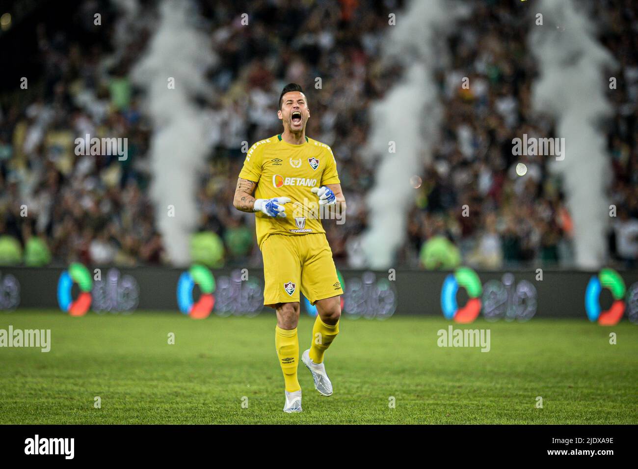 Rio De Janeiro, Brazil. 23rd June, 2022. Goalkeeper Fábio celebrates a ...