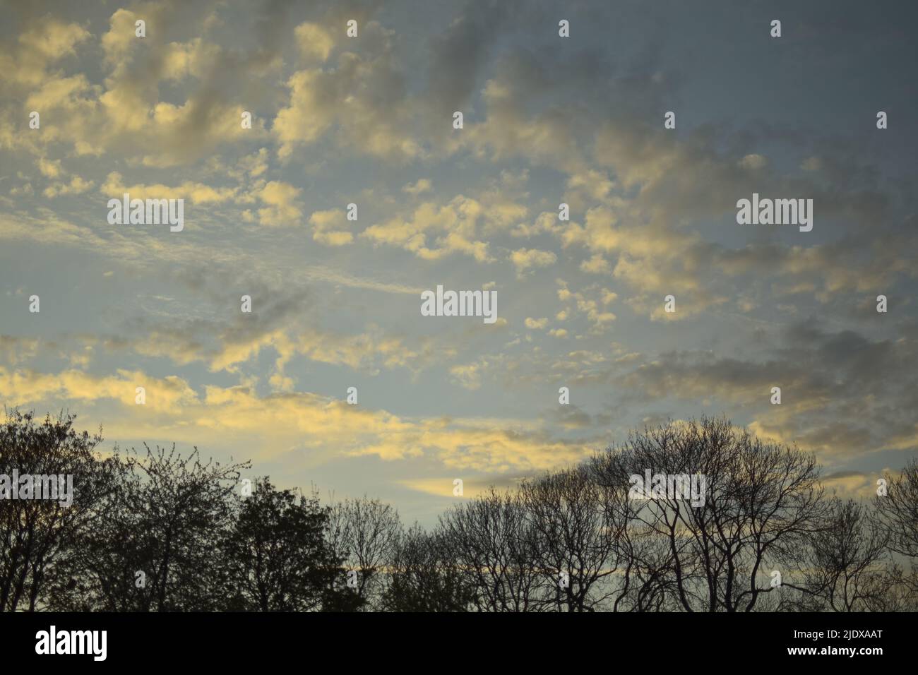 Burley skyline hi-res stock photography and images - Alamy