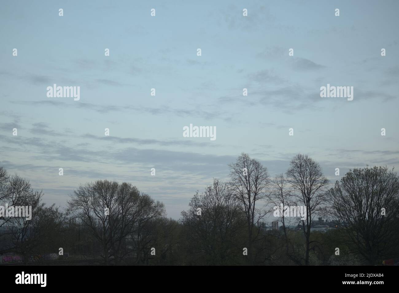 Trees In Burley Park Stock Photo - Alamy