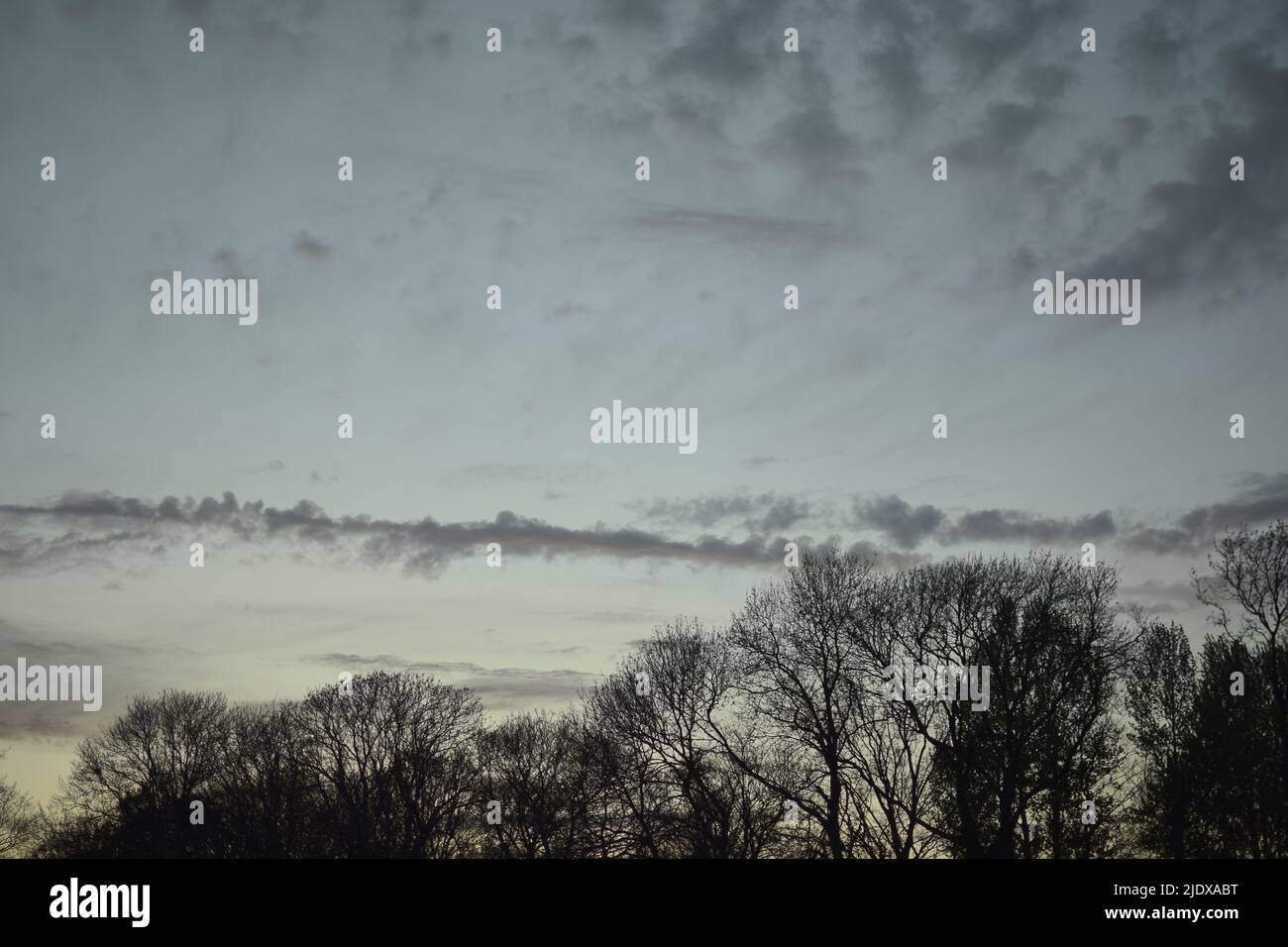 Leeds nature park hi-res stock photography and images - Alamy