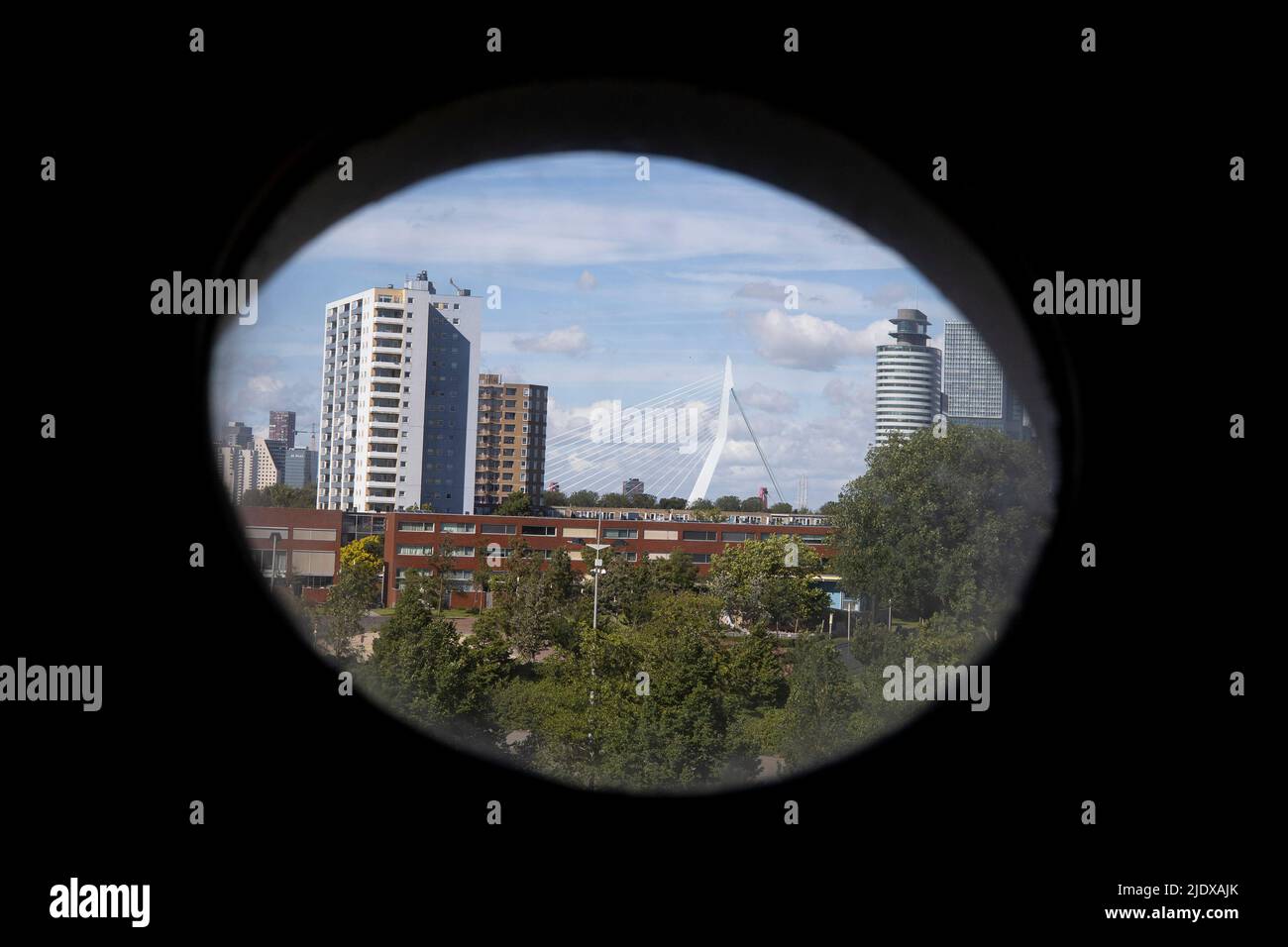 A view of the Erasmus Bridge from the SS Rotterdam on the 15th June ...