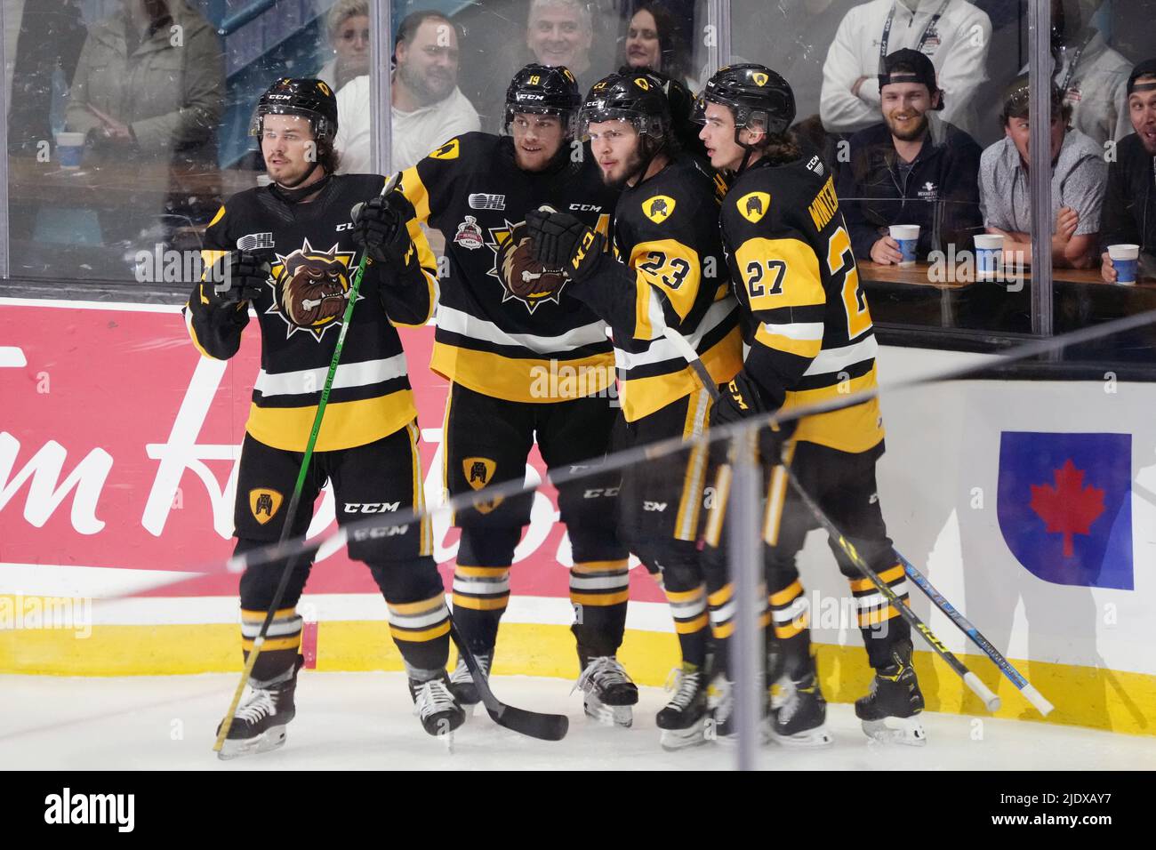 Hamilton Bulldogs' Mason McTavish, second from right, celebrates his ...