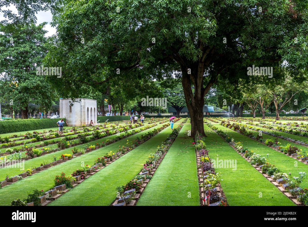 Rows of cemetery plots by a big tree in a Thailand memorial of POW's ...