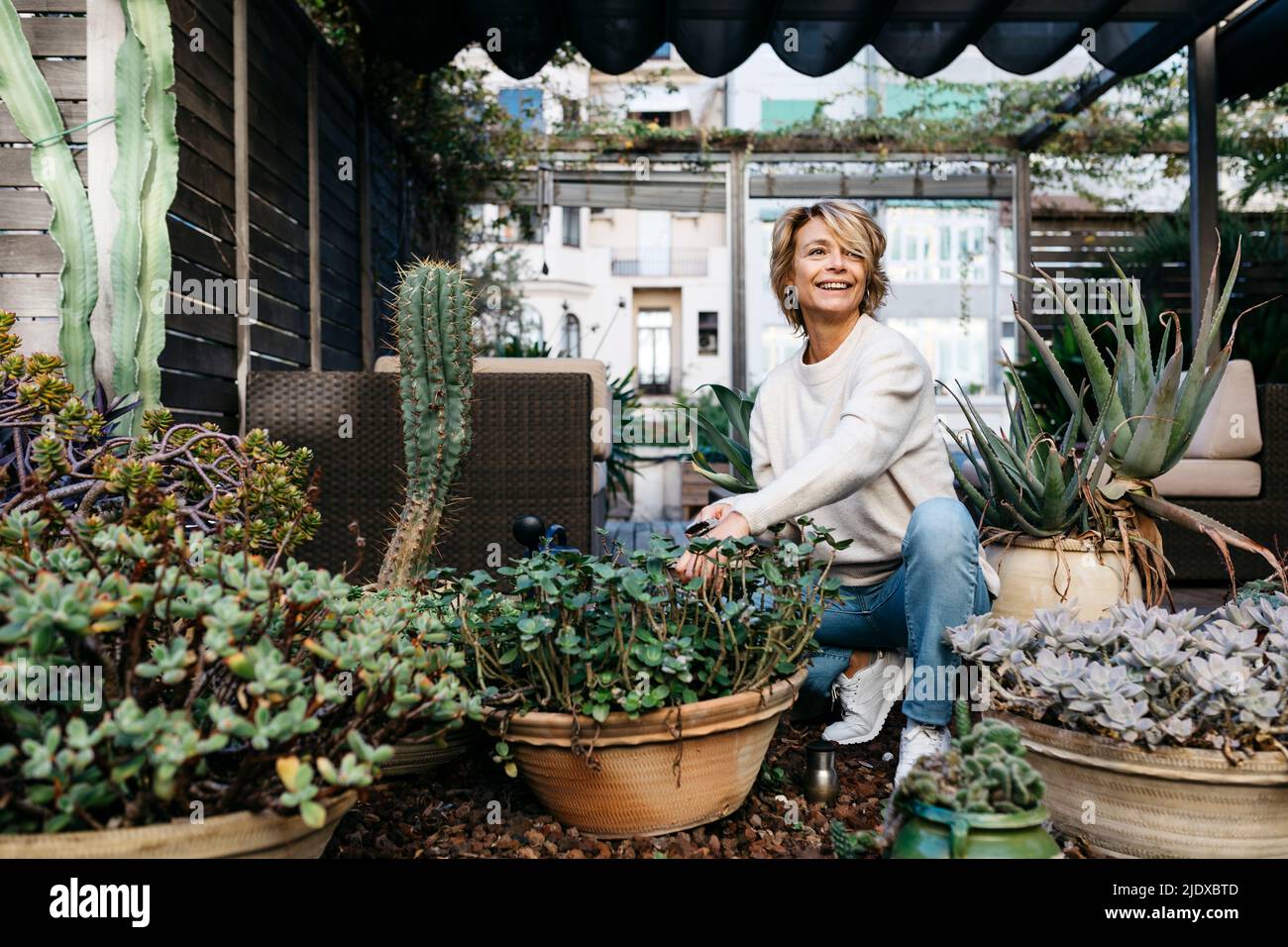 Rooftop plant person hi-res stock photography and images - Alamy