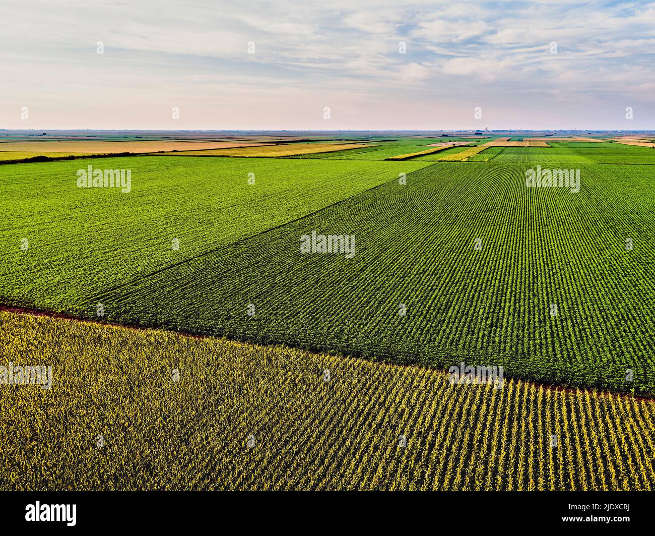 Drone view of vast corn and soybean fields Stock Photo - Alamy
