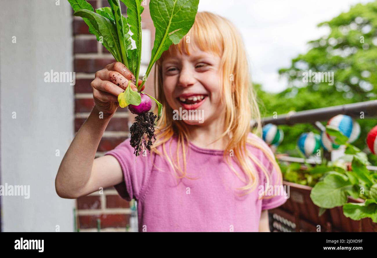 Radish root hair hi-res stock photography and images - Alamy