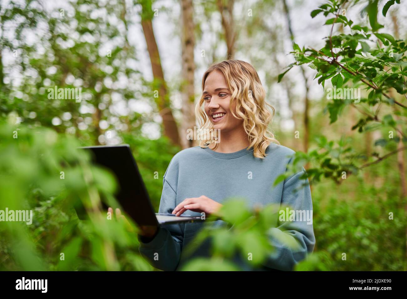 Working amidst trees hi-res stock photography and images - Alamy