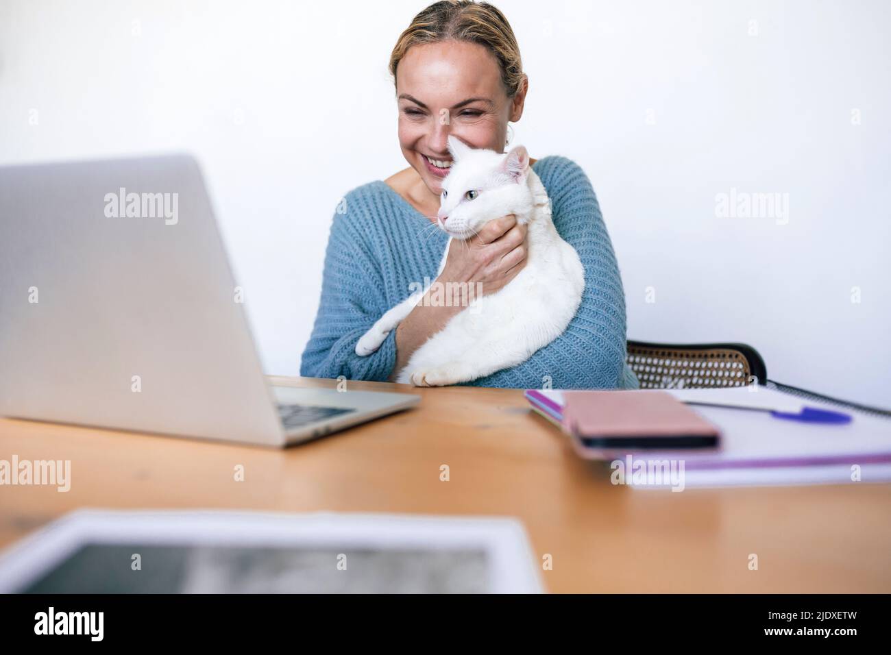 Working at home with pet hi-res stock photography and images - Alamy
