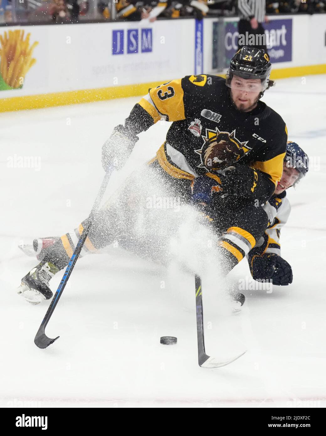 June 23, 2022, Saint John, NB, Canada: Hamilton Bulldogs' Mason ...