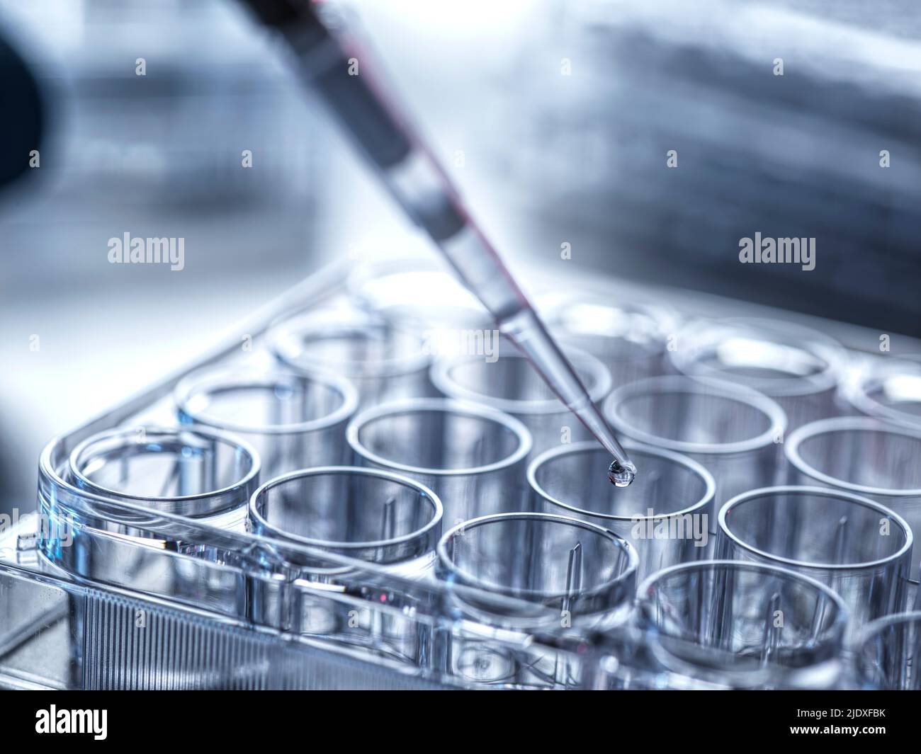 Microplate laboratory hi-res stock photography and images - Alamy