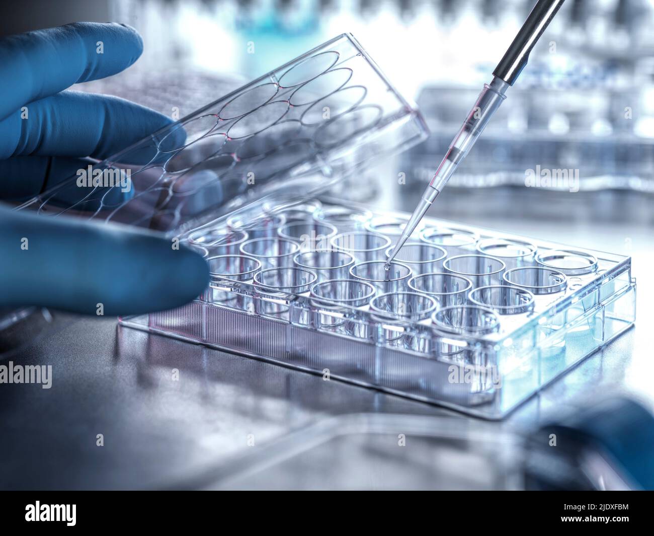 Scientist filling microplate with pipette in laboratory Stock Photo - Alamy