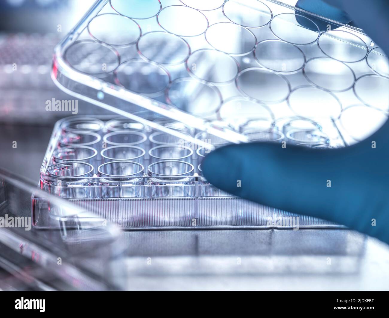 Microplate hi-res stock photography and images - Alamy