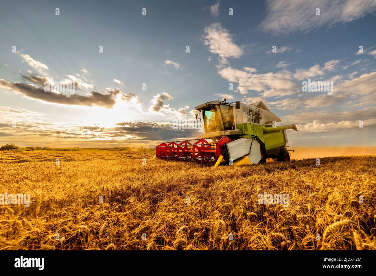 Combine harvester for wheat hi-res stock photography and images - Alamy
