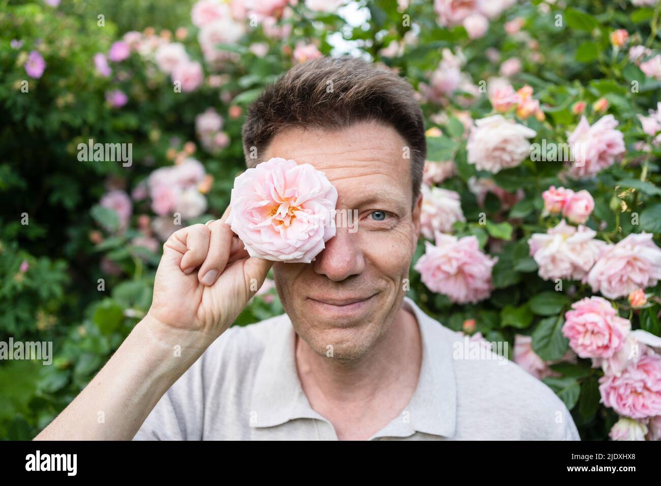 Man in rose garden hi-res stock photography and images - Alamy