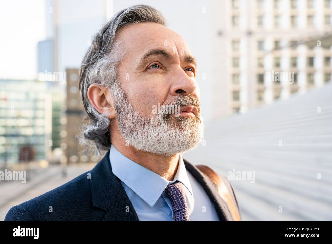 Mature businessman with gray hair Stock Photo - Alamy