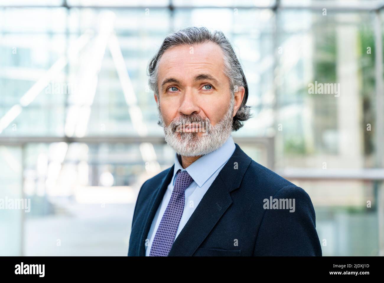 Mature businessman with gray hair and beard Stock Photo - Alamy