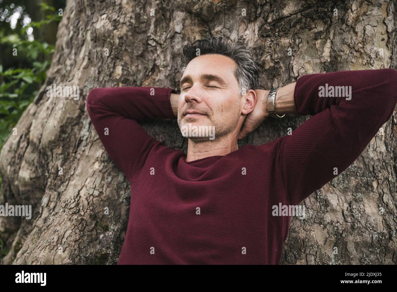 Tree hands man hi-res stock photography and images - Alamy