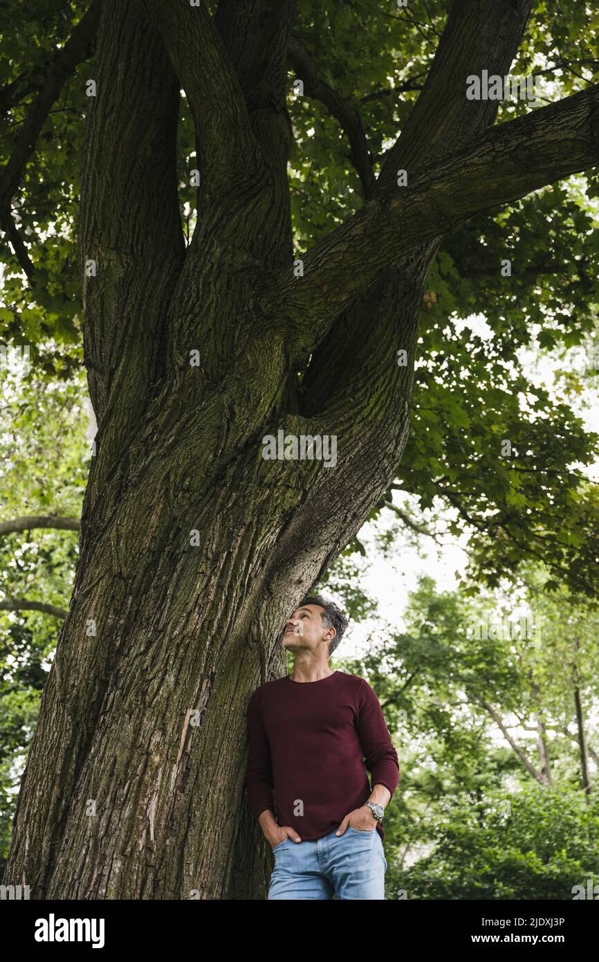 Happy man tree hi-res stock photography and images - Alamy
