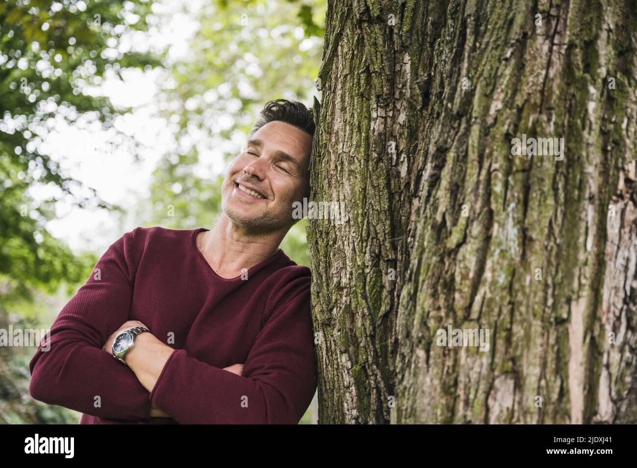Happy man tree hi-res stock photography and images - Alamy