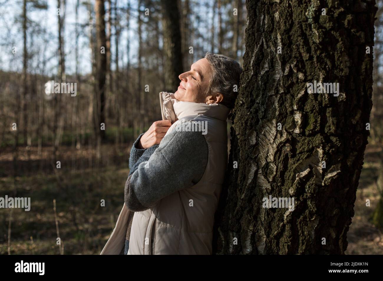 Short trunk tree hi-res stock photography and images - Alamy