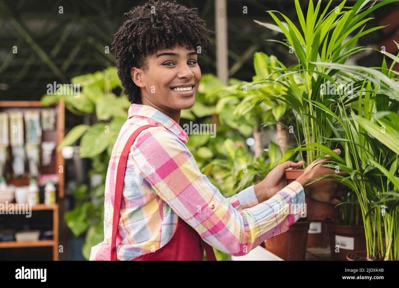 Happy gardener holding potted plant at nursery Stock Photo - Alamy