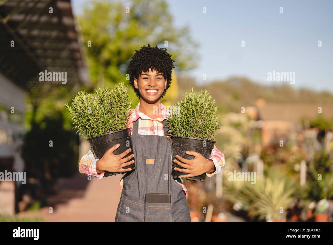 Happy gardener carrying potted plants at nursery Stock Photo - Alamy