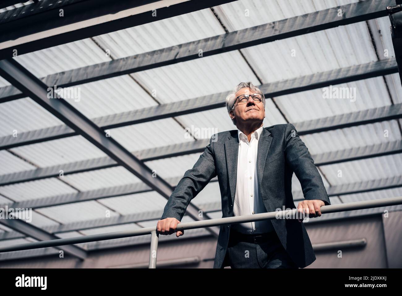 Business man standing rooftop railing hi-res stock photography and ...