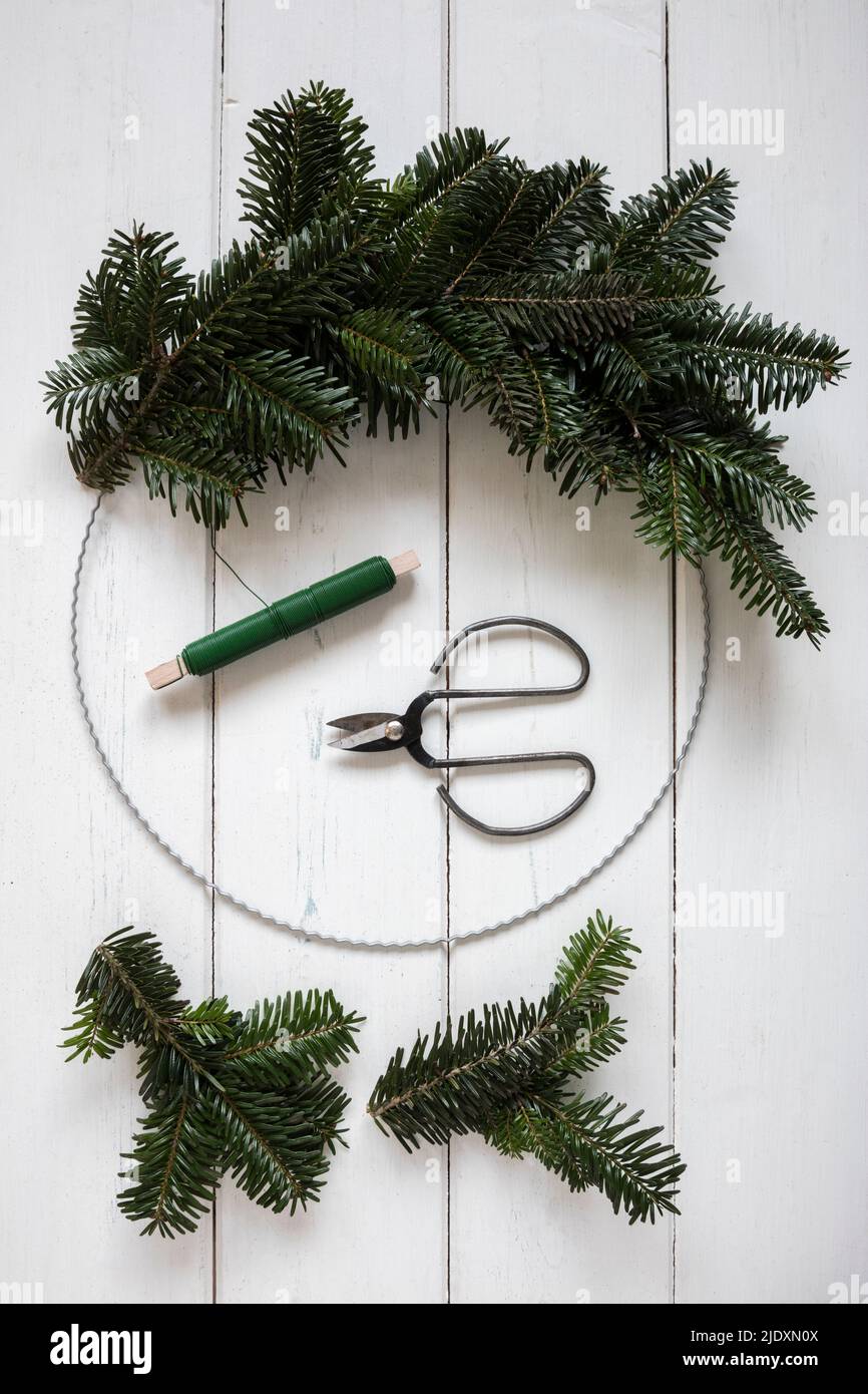 Making of wreath with wire, thread and spruce twigs Stock Photo - Alamy