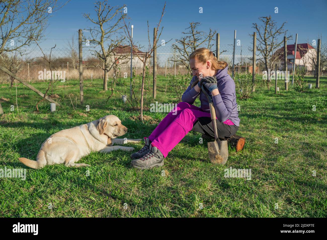 Woman resting after gardening with labrador dog in backyard Stock Photo ...