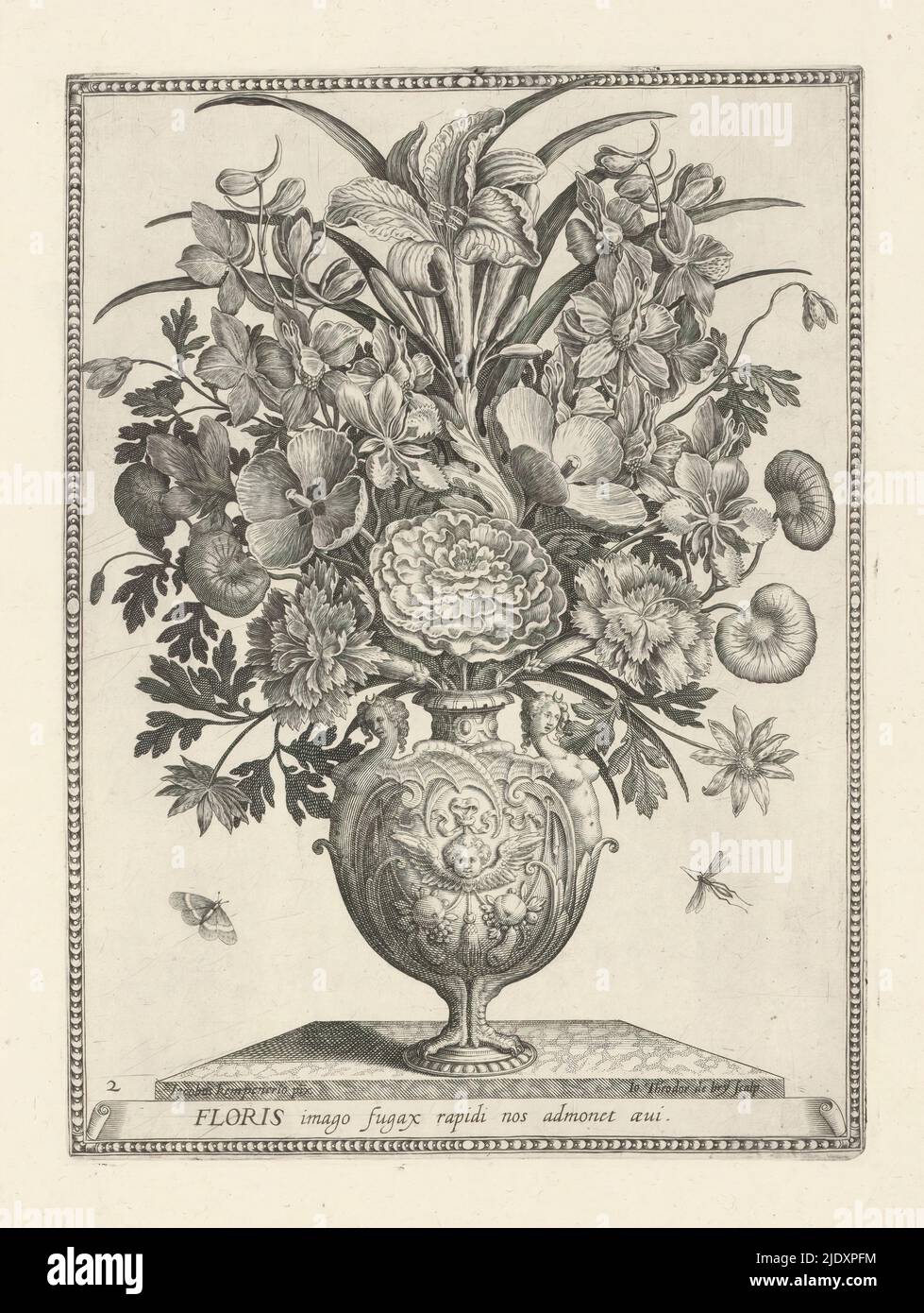 Polyptoton de flore hi-res stock photography and images - Alamy